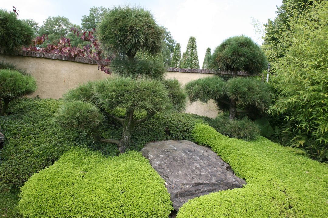 Oosterse Tuin | De Tuinen van Appeltern