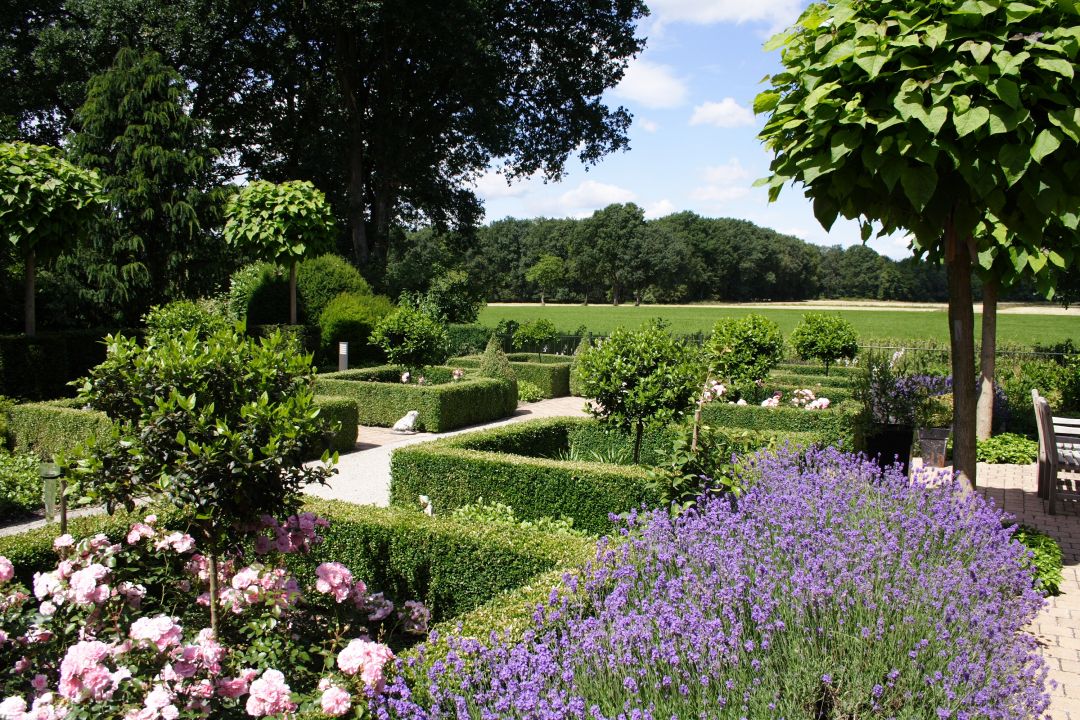 Trendy Tuinen | De Tuinen van Appeltern