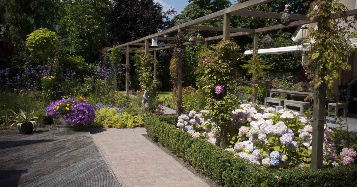 Klassieke Cottagetuin in Steenbergen | De Tuinen van Appeltern