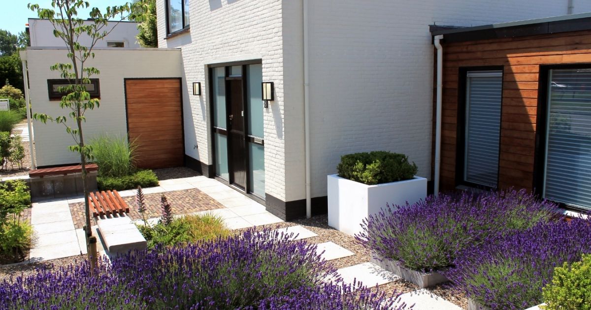 Design voortuin in Roosendaal | De Tuinen van Appeltern