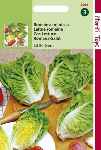 Bindsla Romeinse Mini Sla Little Gem (sla zaad) | De Tuinen van Appeltern