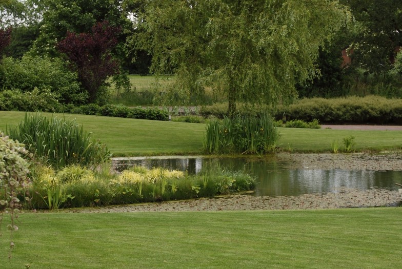 Een natuurlijke vijver. | De Tuinen van Appeltern
