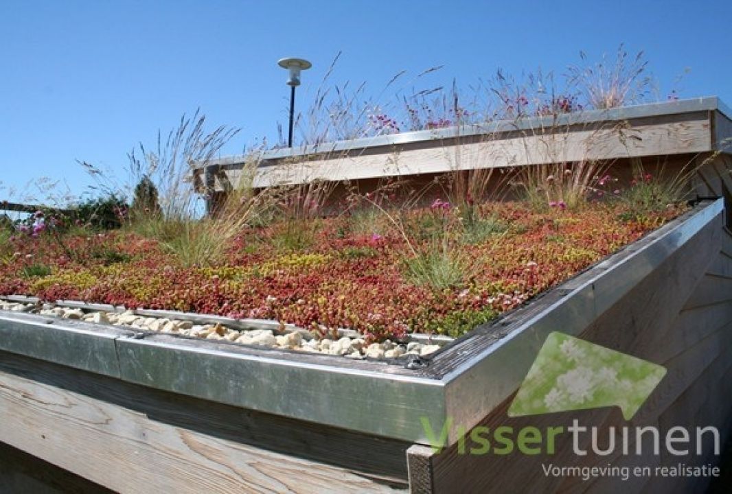 Natuurlijke tuin met vijver, groene berging | De Tuinen van Appeltern