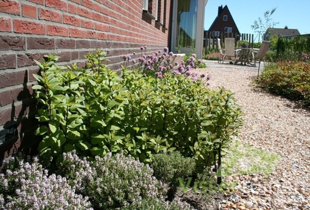 Natuurlijke tuin met vijver, groene berging | De Tuinen van Appeltern