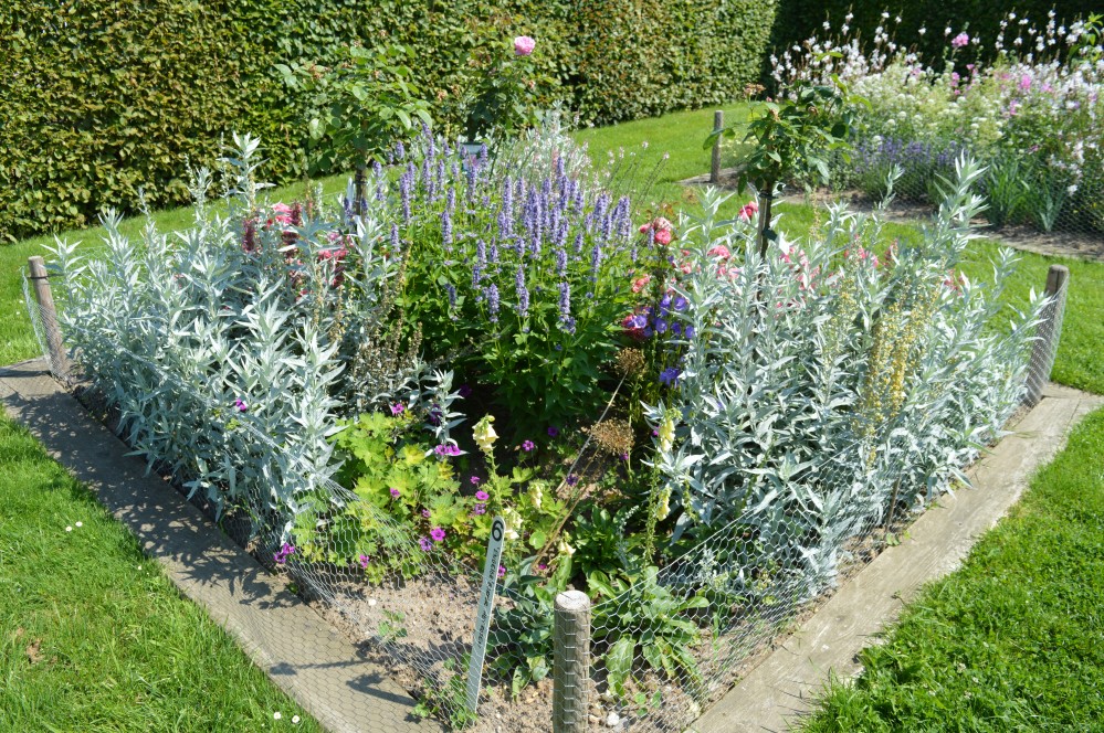 Engelse border met rozen | De Tuinen van Appeltern