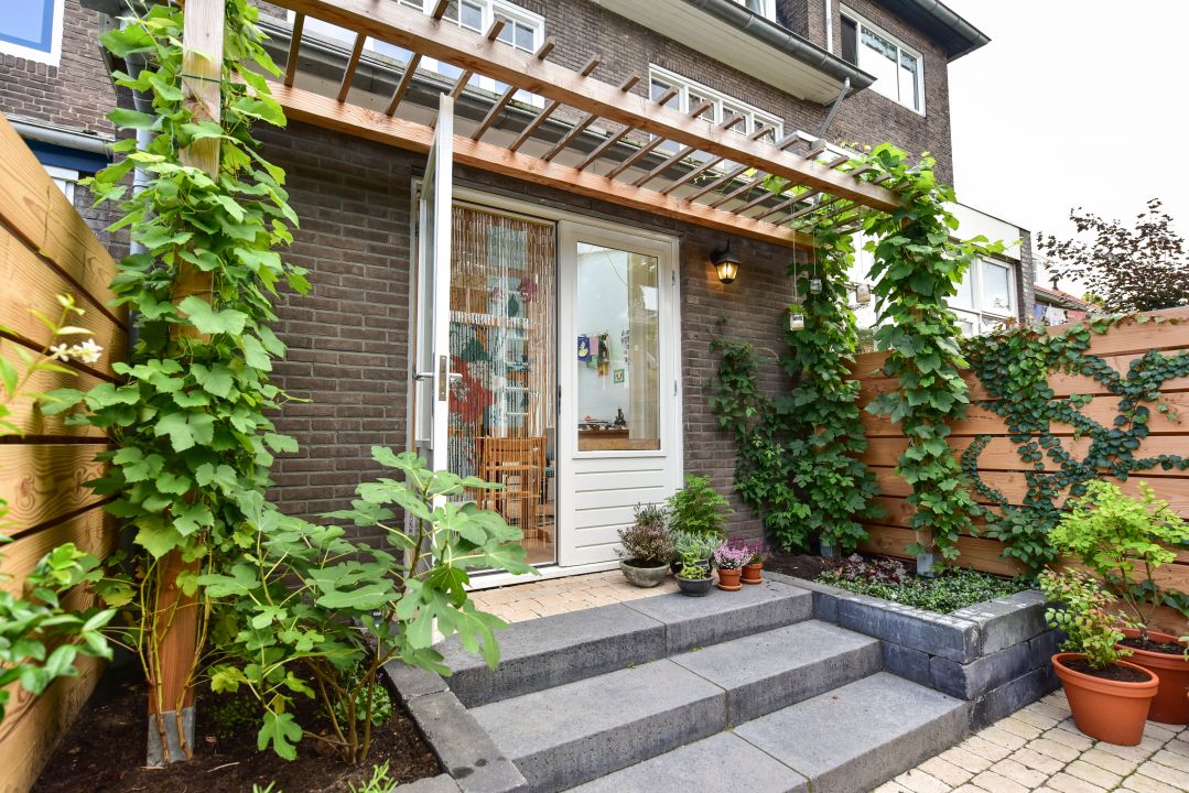 Urban Jungle tuin | De Tuinen van Appeltern