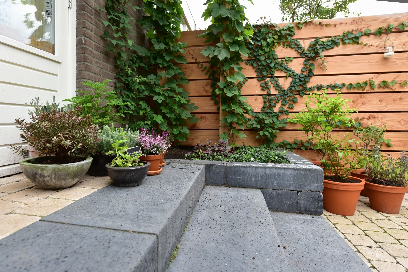 Urban Jungle tuin | De Tuinen van Appeltern