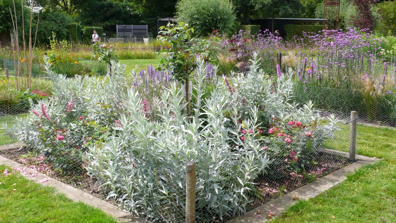 Engelse border met rozen | De Tuinen van Appeltern