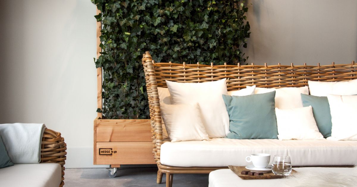 Hedge to go, een kant en klare groene afscheiding! | De Tuinen van ...