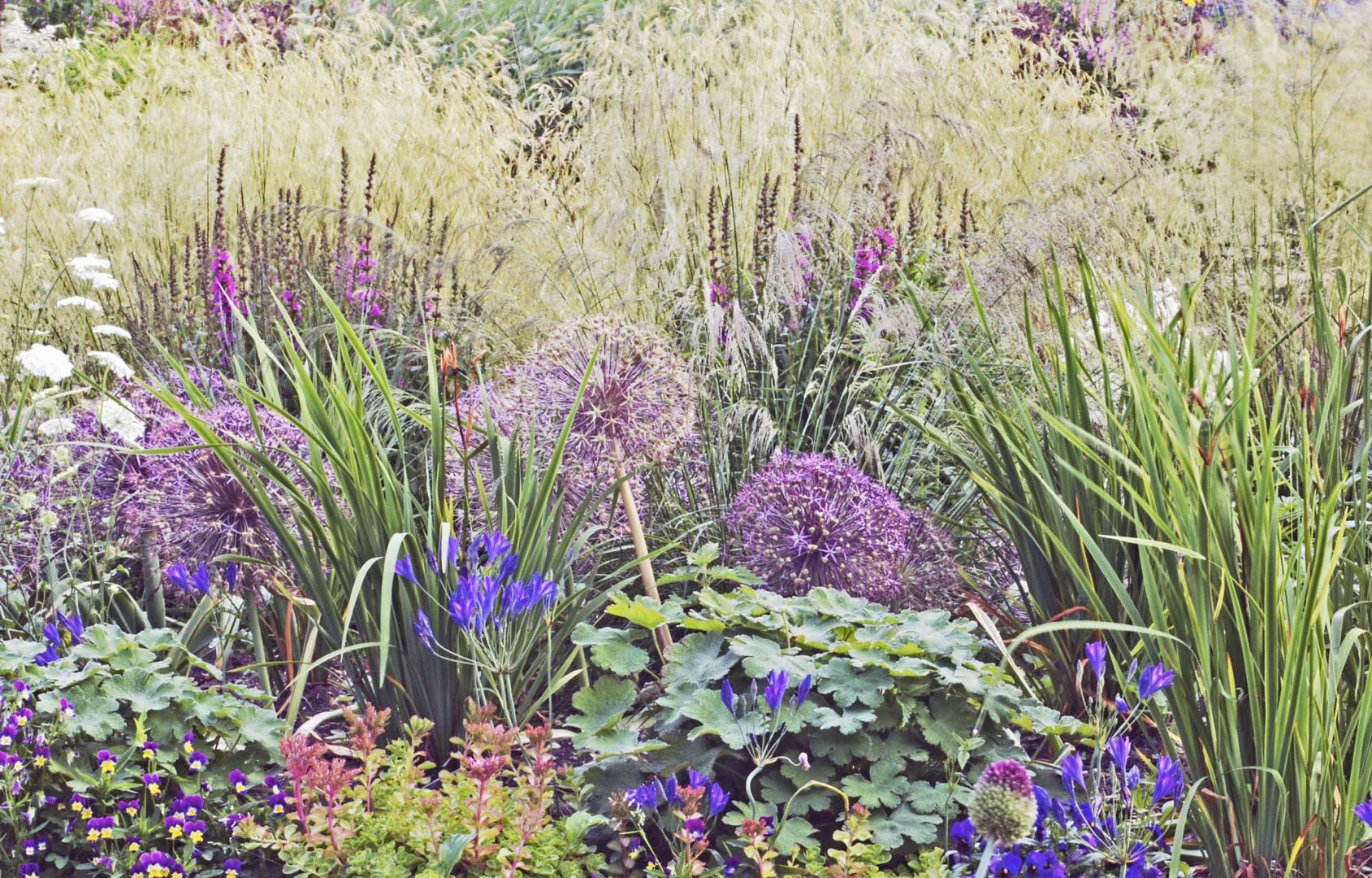 droomborders met siergrassen | De Tuinen van Appeltern