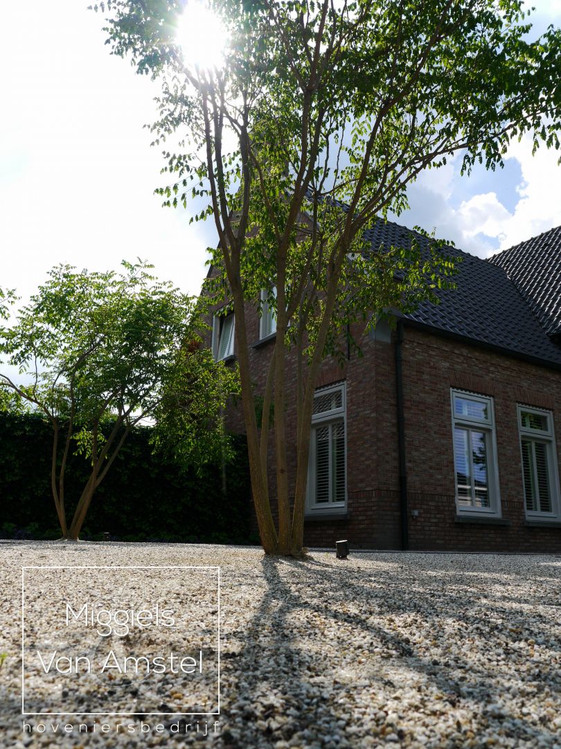 Strakke voortuin | De Tuinen van Appeltern