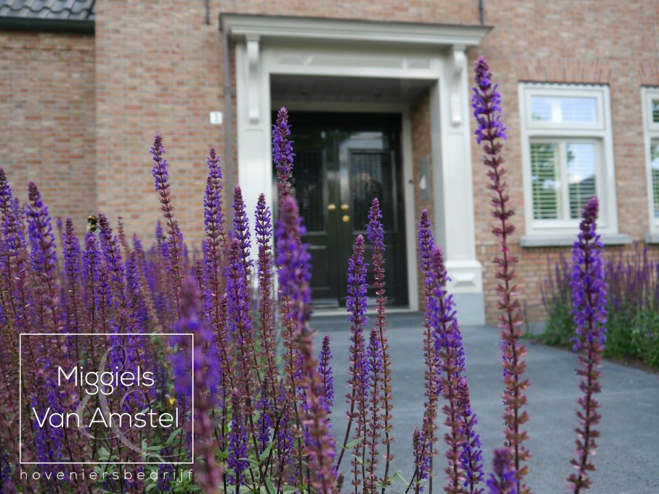 Strakke voortuin | De Tuinen van Appeltern