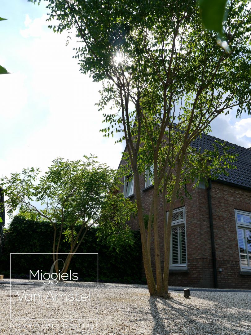 Strakke voortuin | De Tuinen van Appeltern