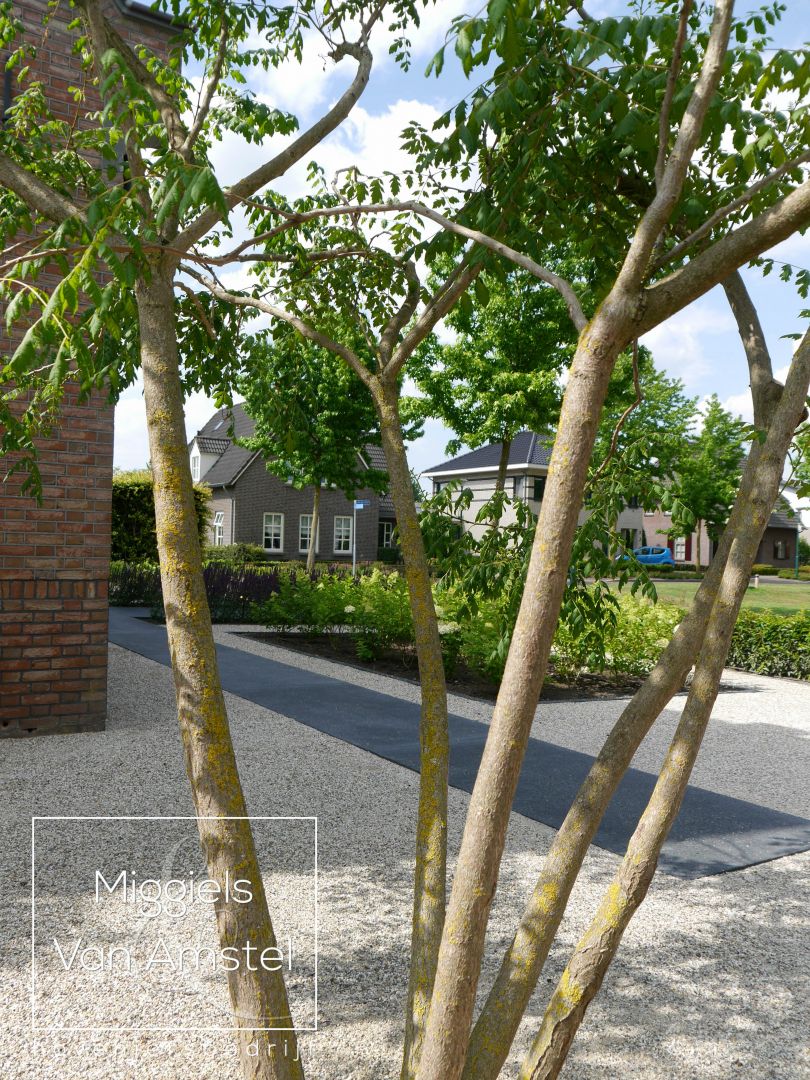 Strakke voortuin | De Tuinen van Appeltern