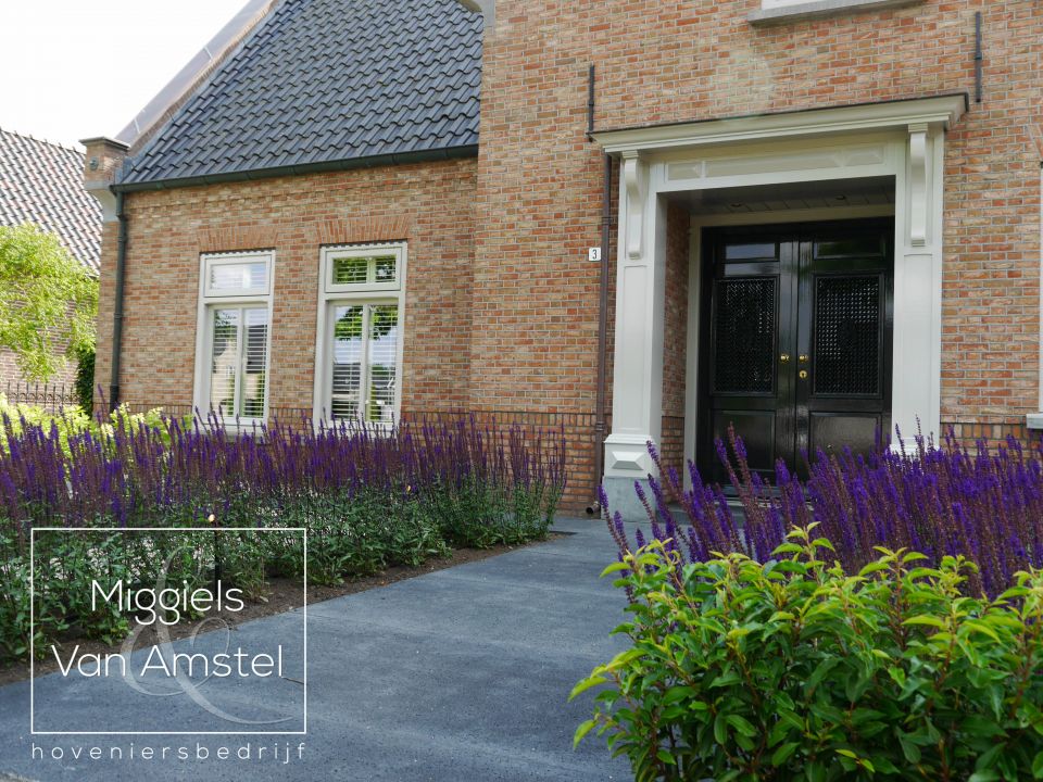 Strakke voortuin | De Tuinen van Appeltern