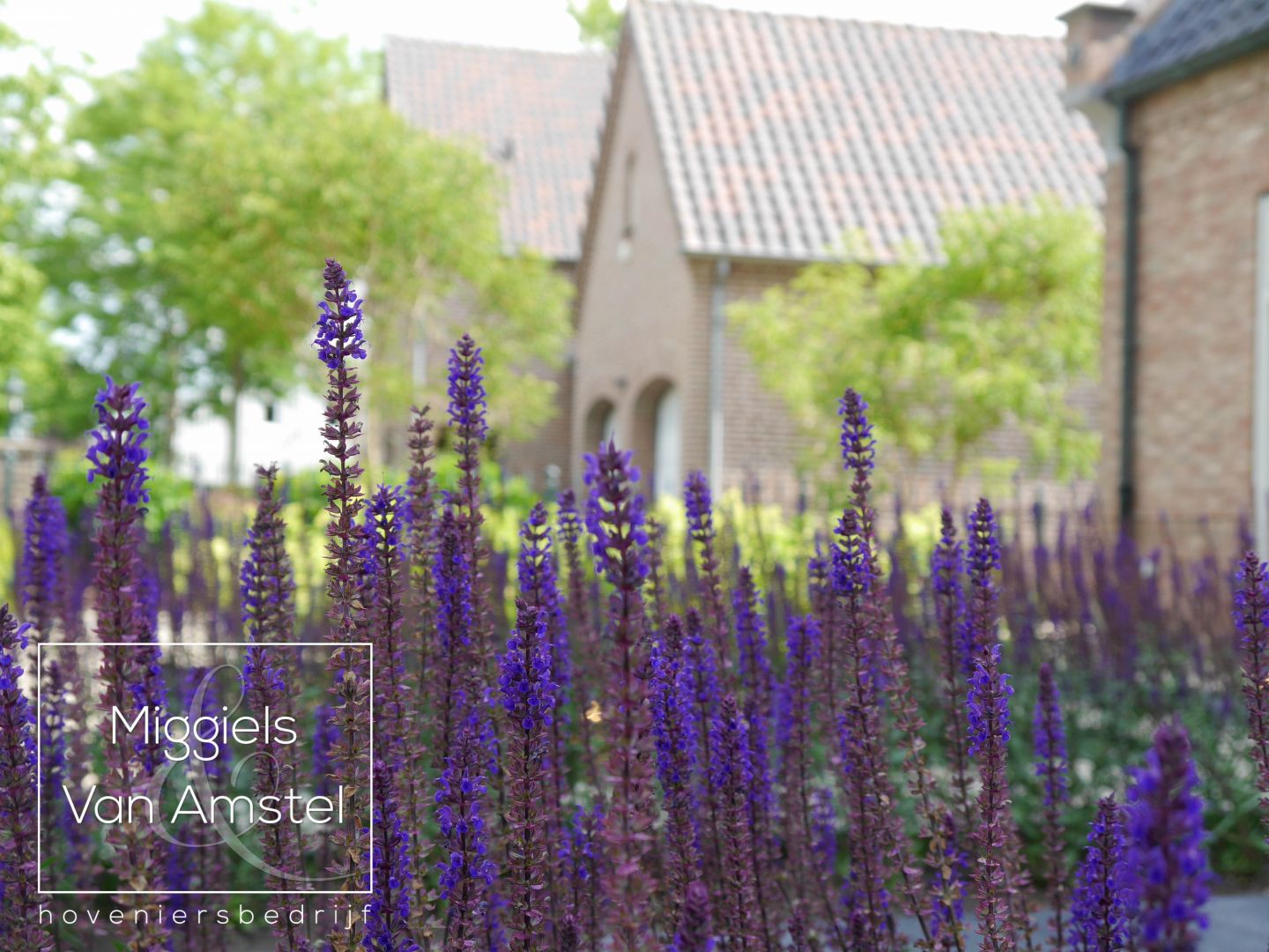 Strakke voortuin | De Tuinen van Appeltern