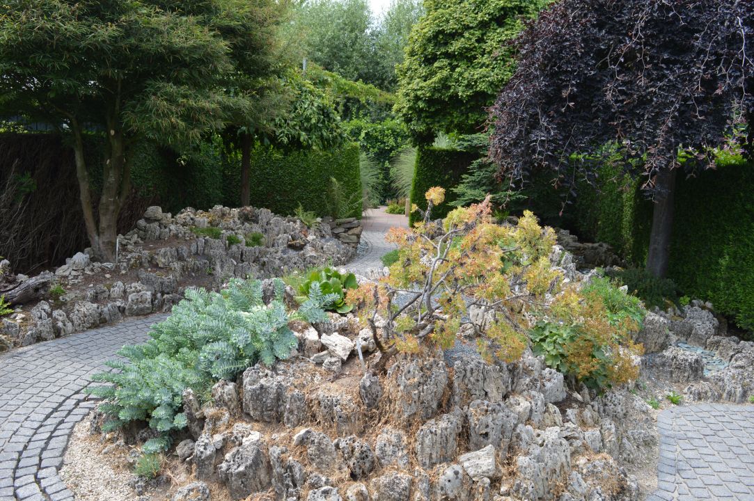 Rotstuin | De Tuinen van Appeltern