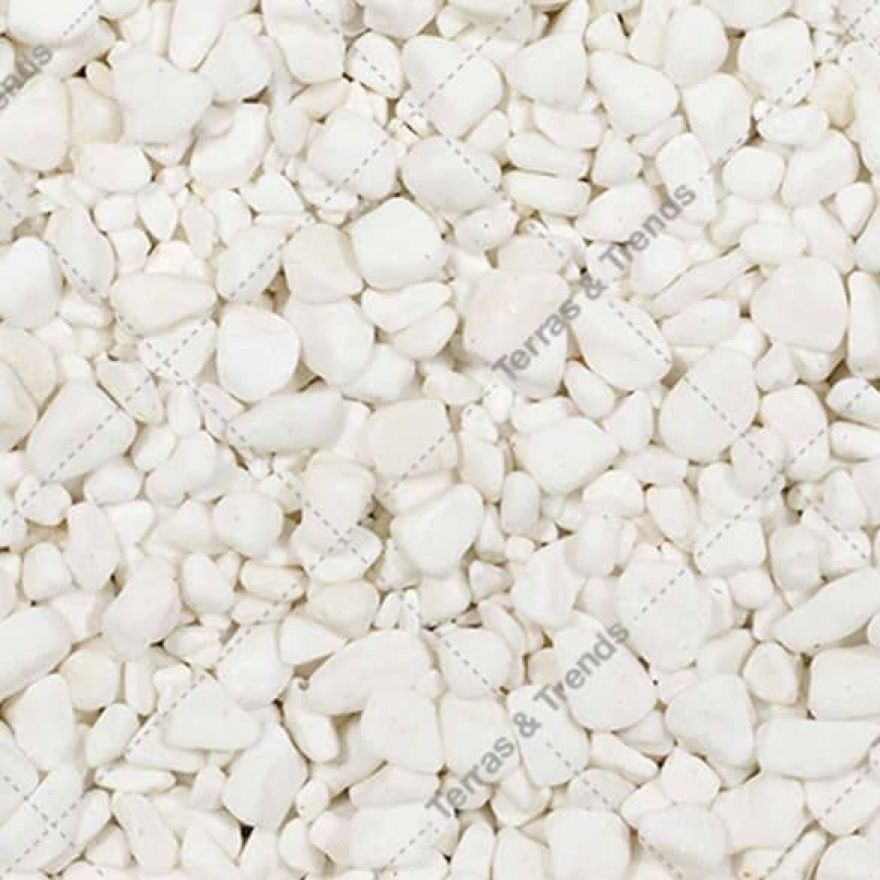 Polar White Split | De Tuinen van Appeltern