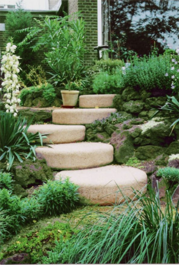 Stapstenen 80cm | De Tuinen van Appeltern