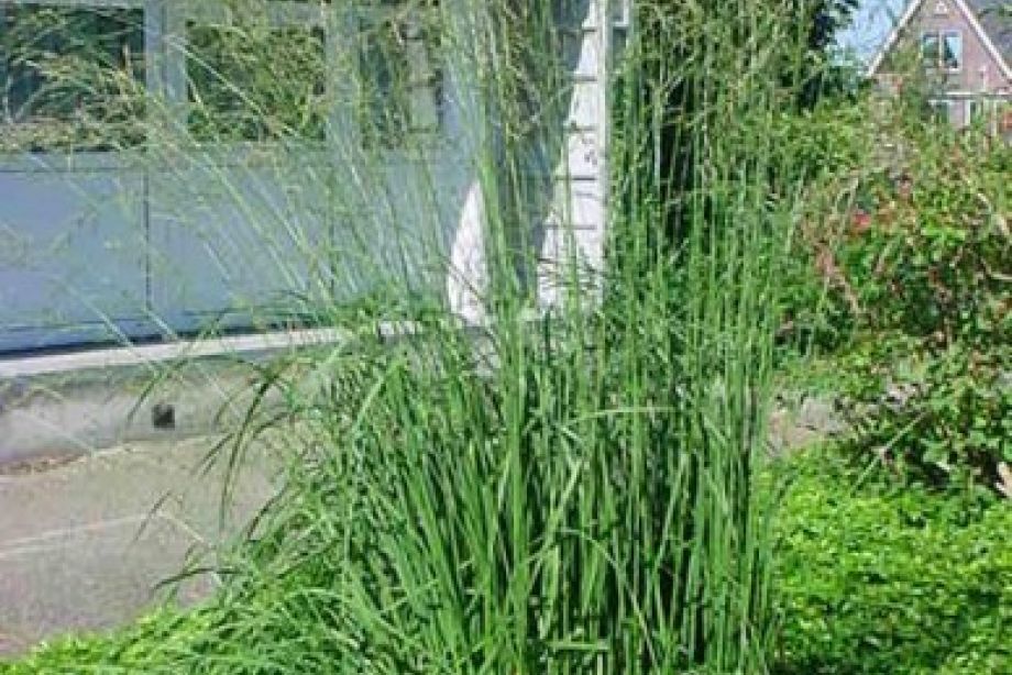 Roze rode border | De Tuinen van Appeltern