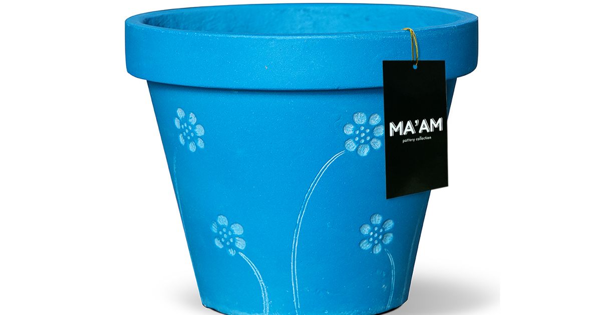 Daisy Pot Blauw | De Tuinen van Appeltern