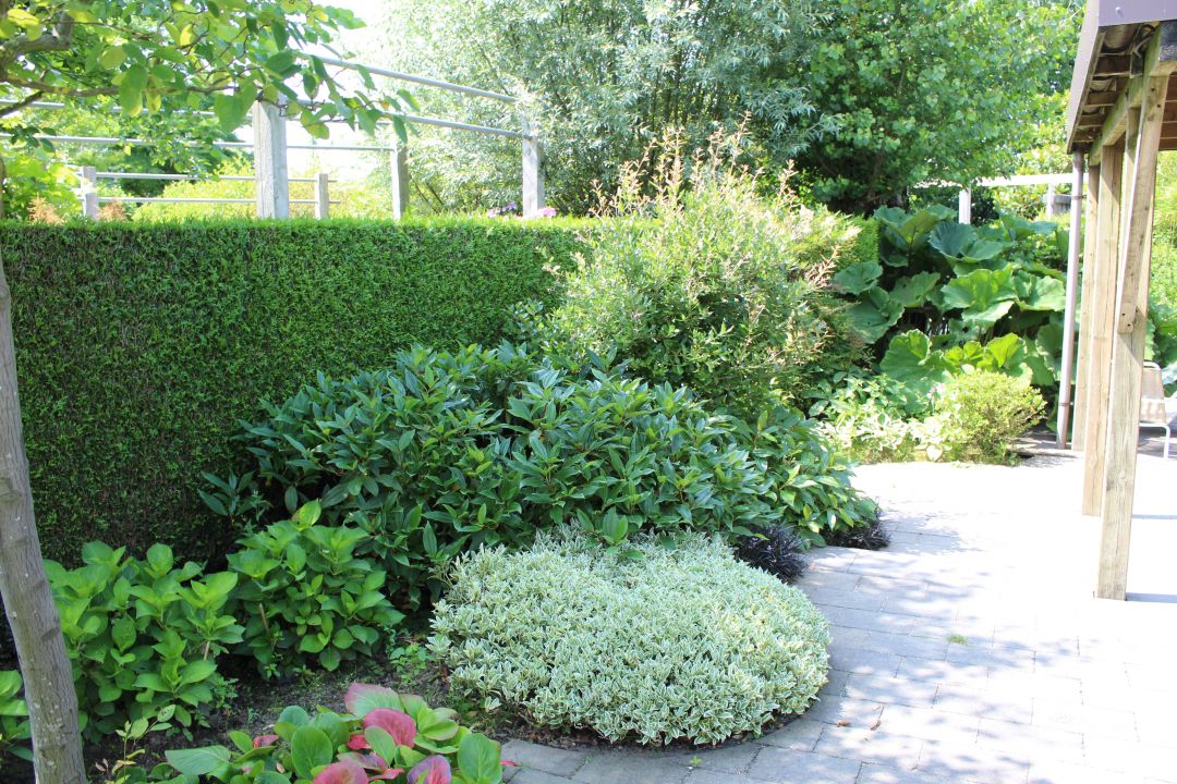 Groenblijvende tuin | De Tuinen van Appeltern