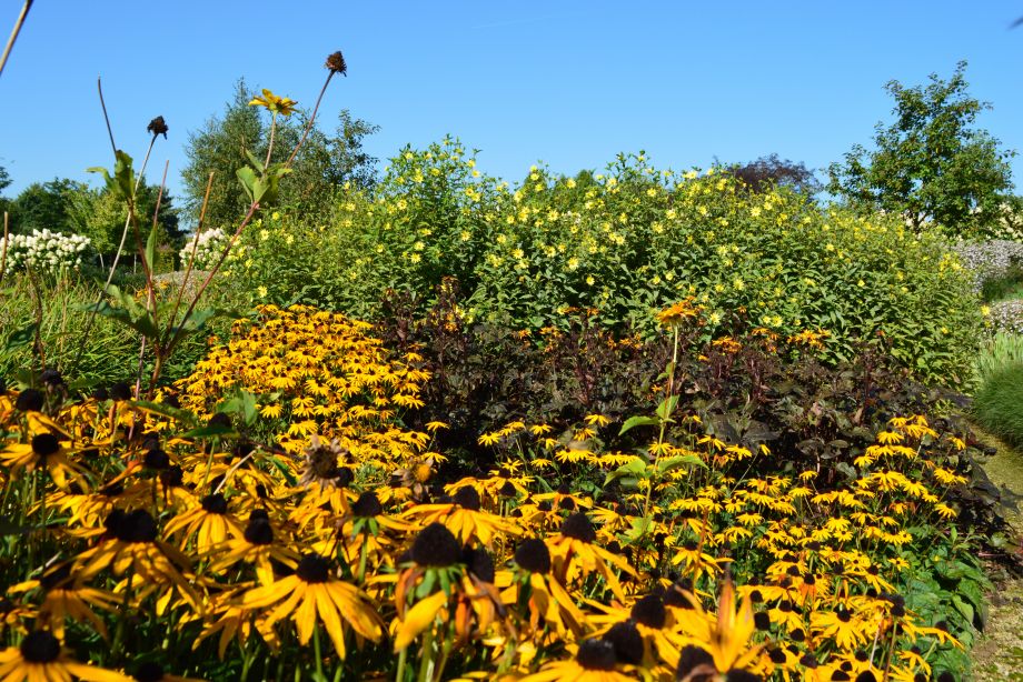 Grassenborder | De Tuinen van Appeltern