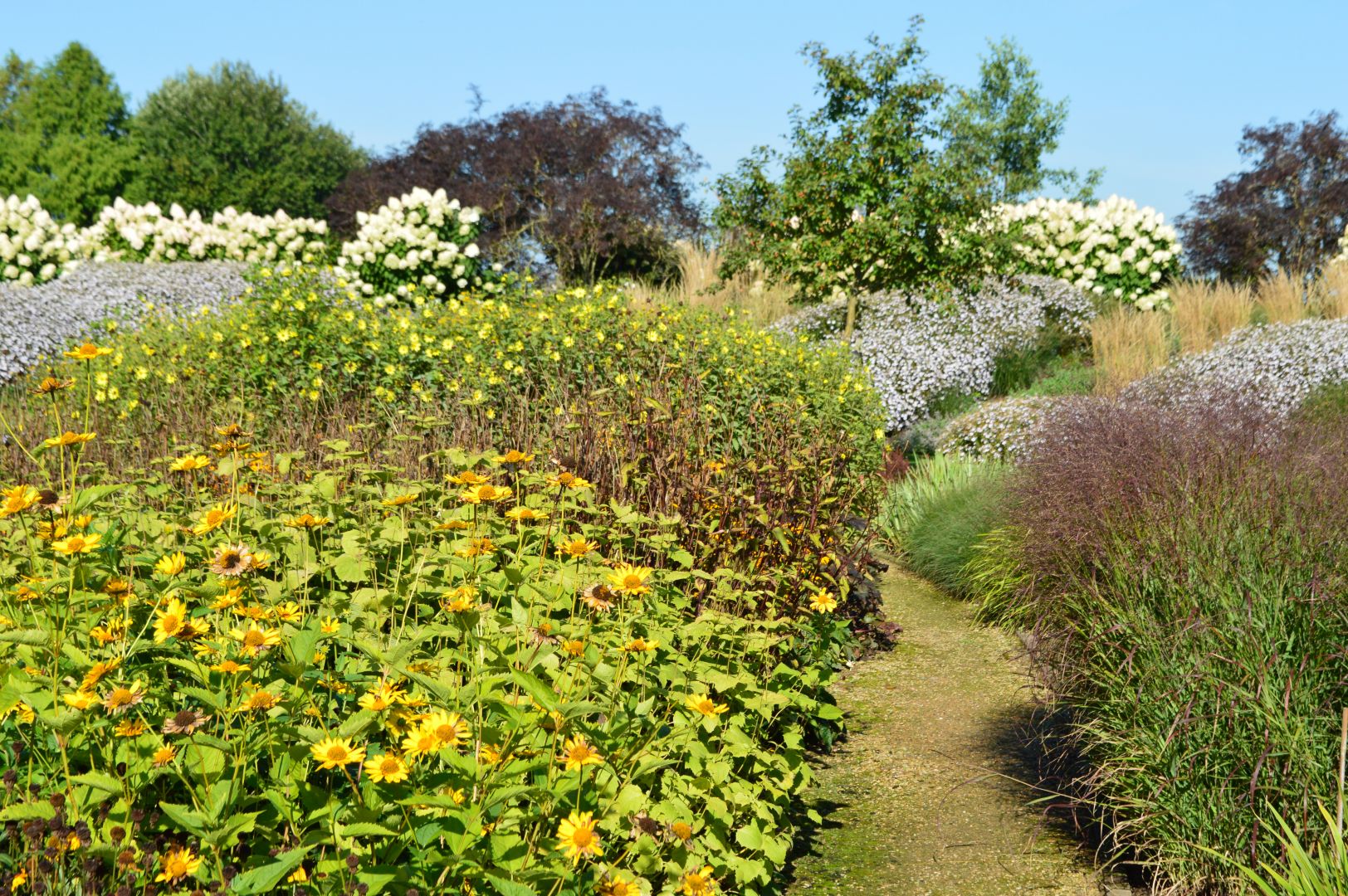 Gele border | De Tuinen van Appeltern