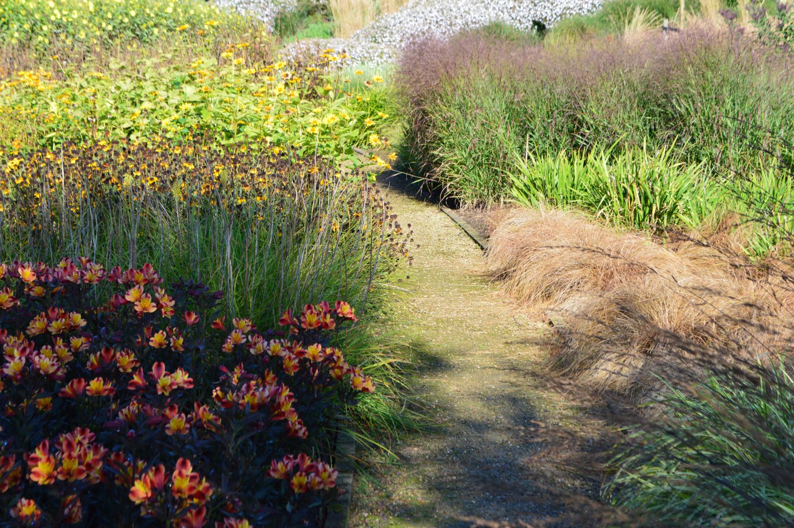 Gele border | De Tuinen van Appeltern