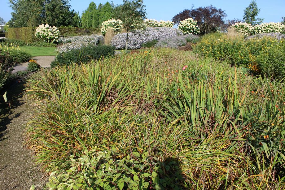 Gele border | De Tuinen van Appeltern
