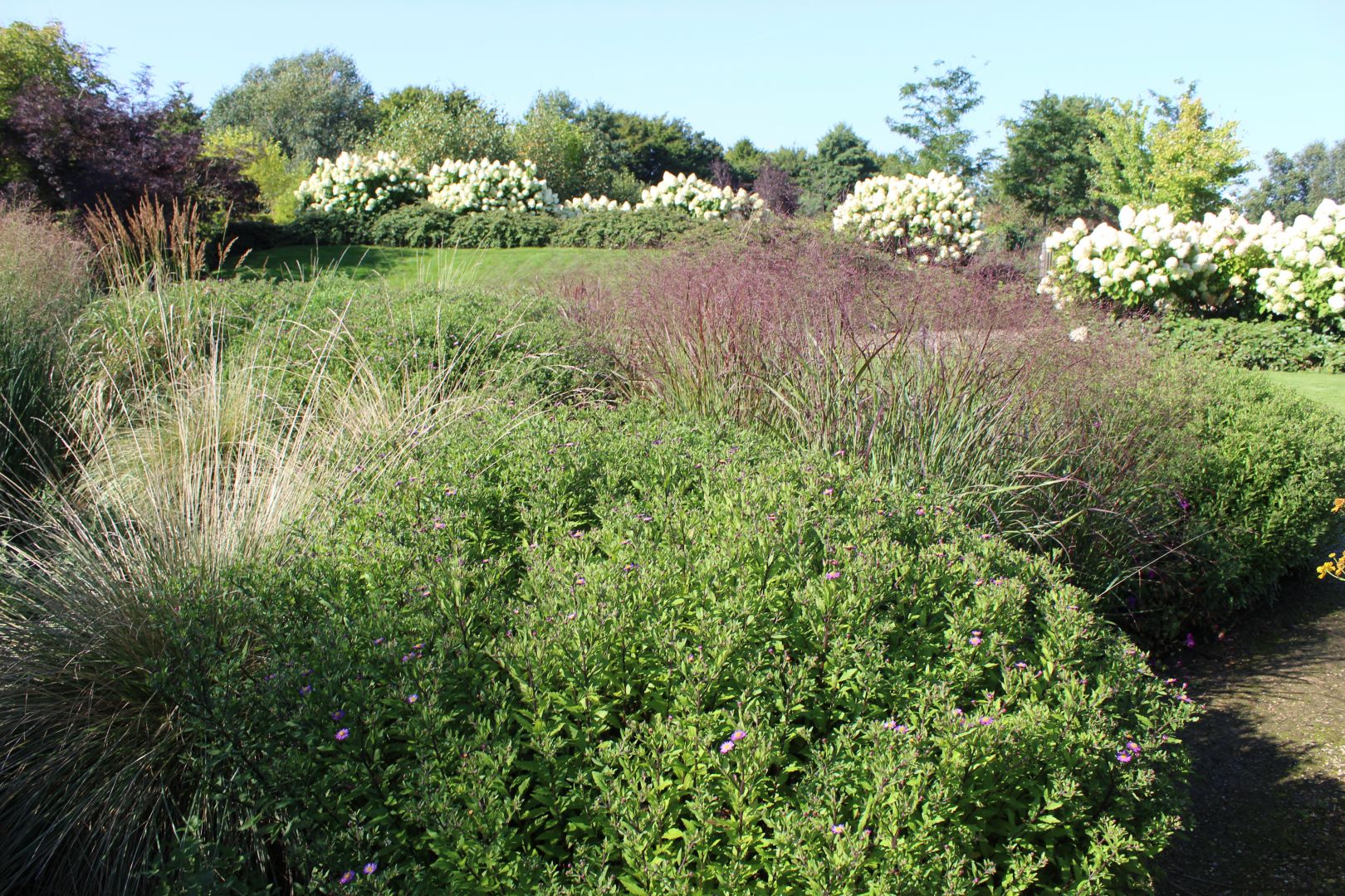 5a. Bloemweideachtige grassenborder | De Tuinen van Appeltern