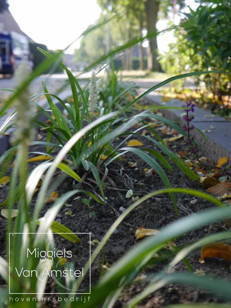 Stijlvolle kleine voortuin | De Tuinen van Appeltern
