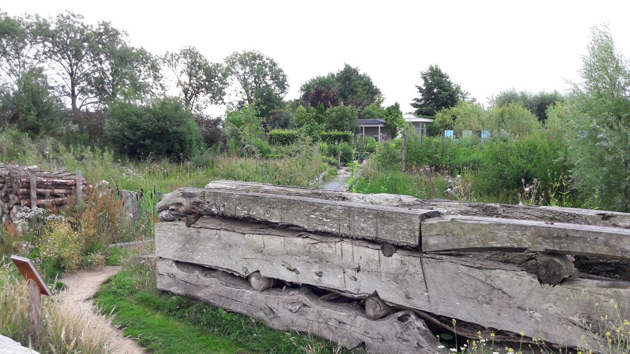 Houtwal | De Tuinen van Appeltern