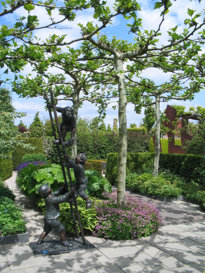 Platanus x acerifolia - Dakplataan | De Tuinen van Appeltern