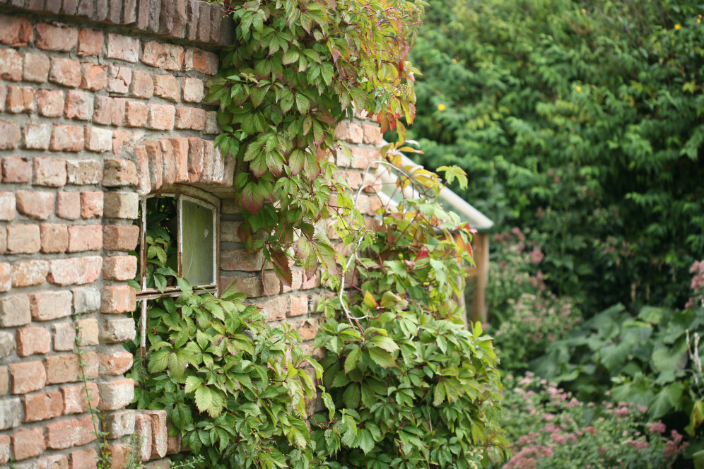 Cottage Tuin | De Tuinen van Appeltern