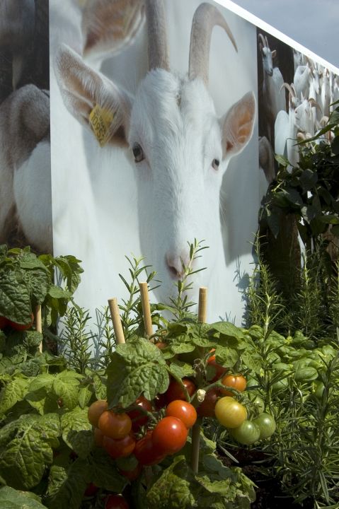 Gezinstuin | De Tuinen van Appeltern