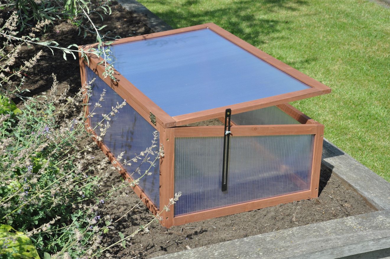 BROEIKAS 'SWEET TOMATO' | De Tuinen van Appeltern