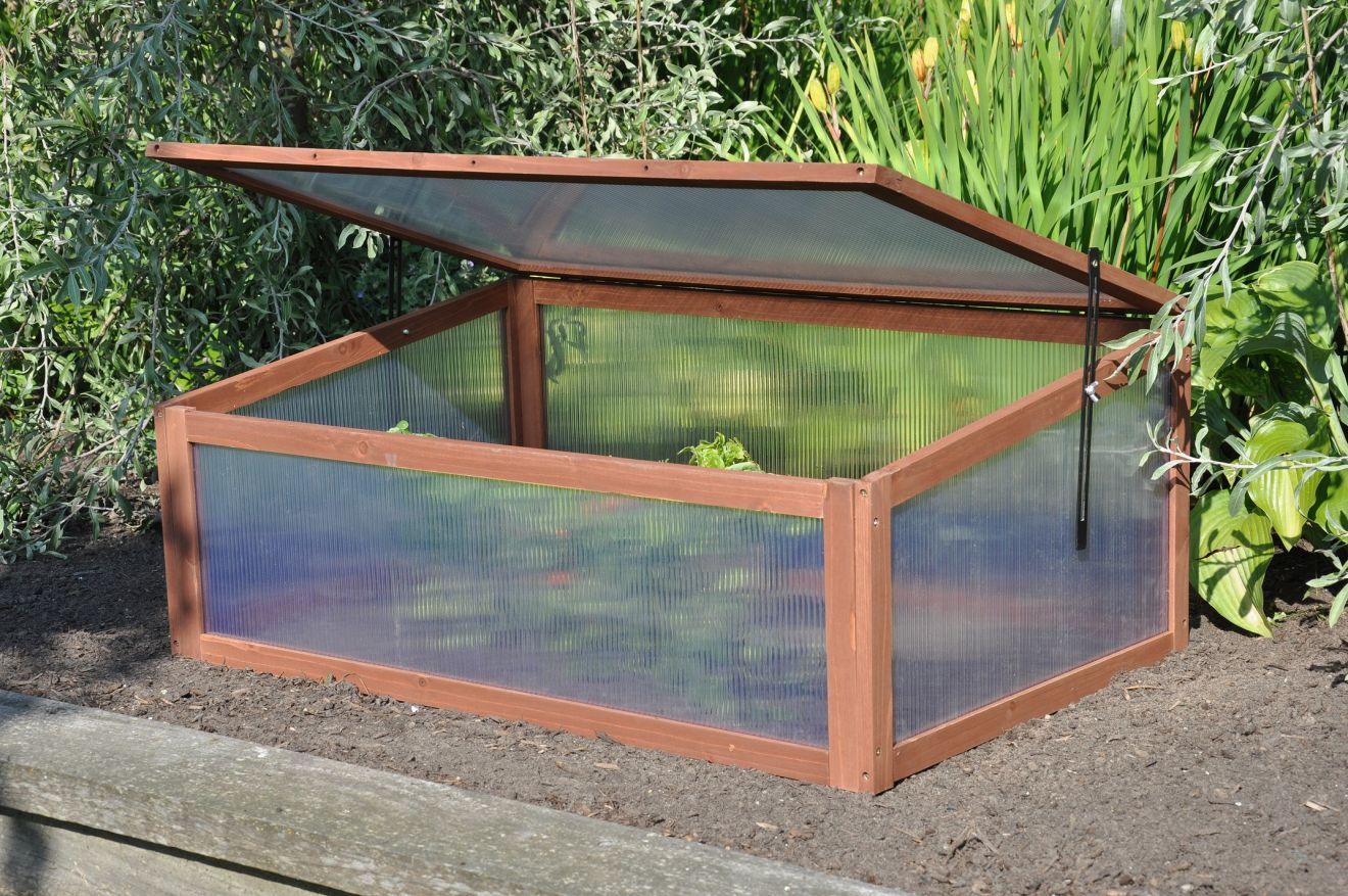 BROEIKAS 'SWEET TOMATO' | De Tuinen van Appeltern