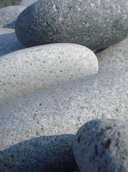 Exoten Tuin | De Tuinen van Appeltern