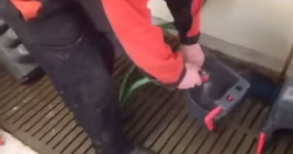 Washing calf buckets: prevent diseases like Rotavirus | CowSignals®