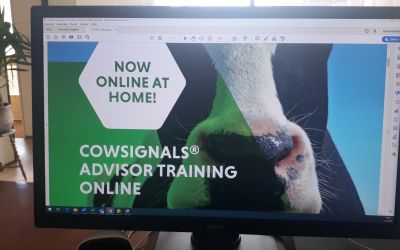 Online courses | CowSignals®